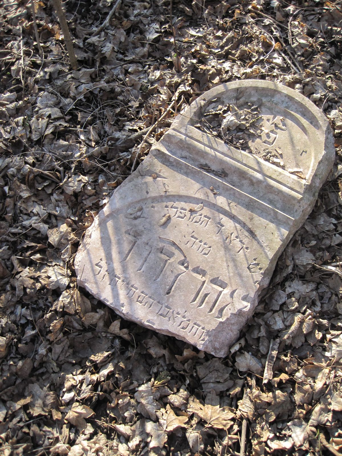 Waves of Anxiety, through the Generations – Taking a Pause at 40